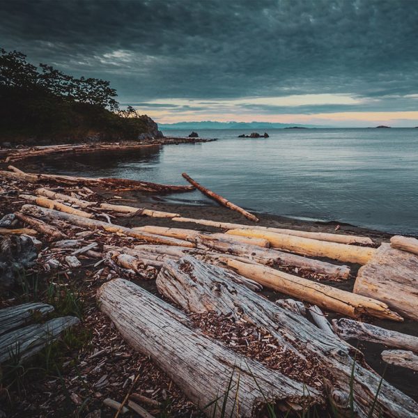 Enhanced Benefits - Cove Continuity Advisors